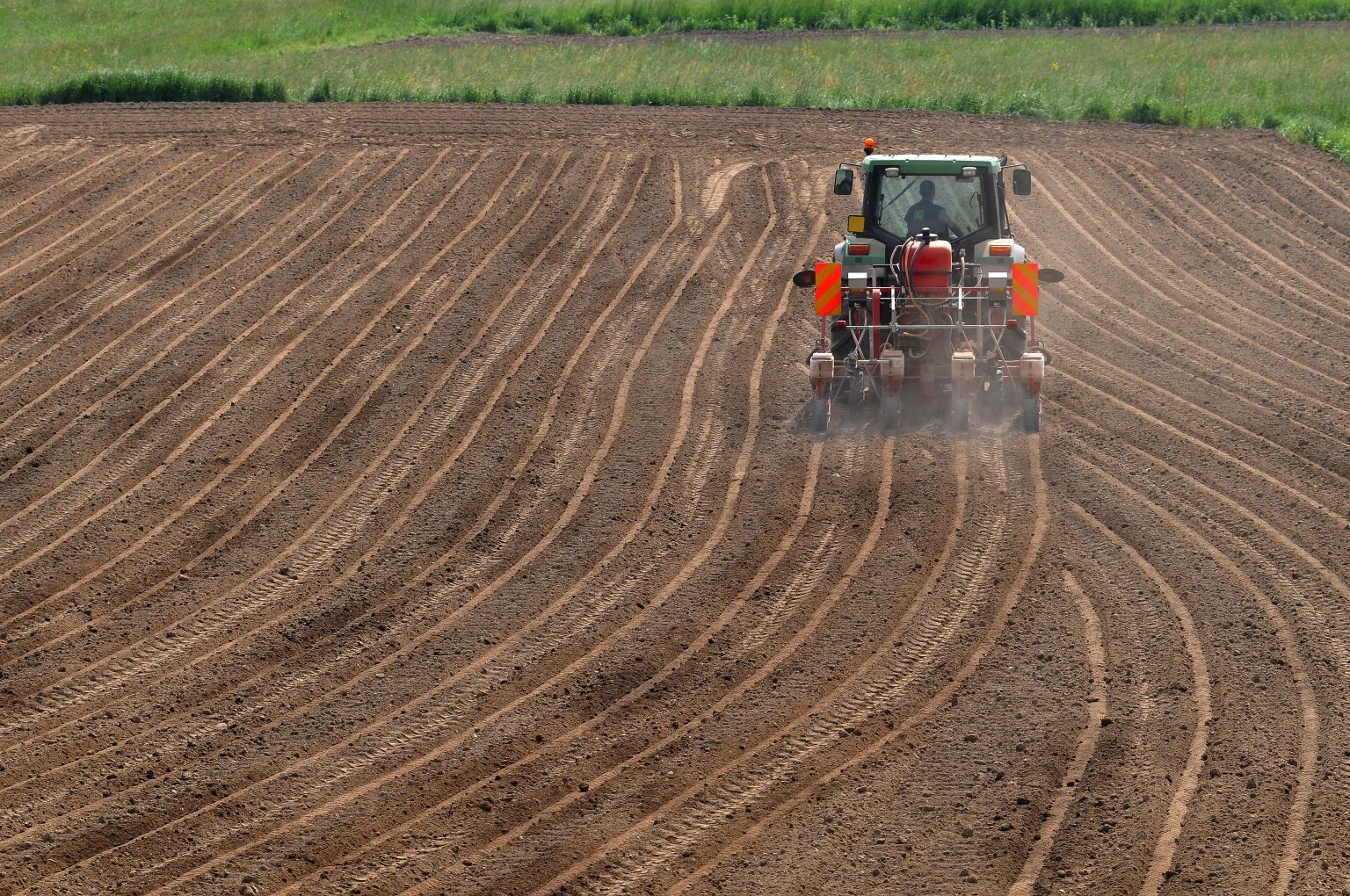 HOW TO MAKE A PERFECT ENGLISH LAWN